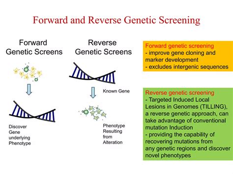 Omics For Crop Improvement New Ppt