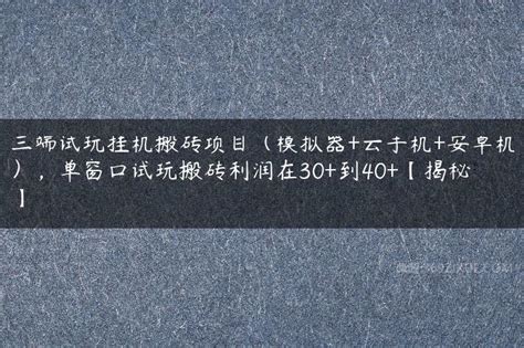 三端试玩挂机搬砖项目（模拟器云手机安卓机），单窗口试玩搬砖利润在30到40【揭秘】百度网盘下载 It大王