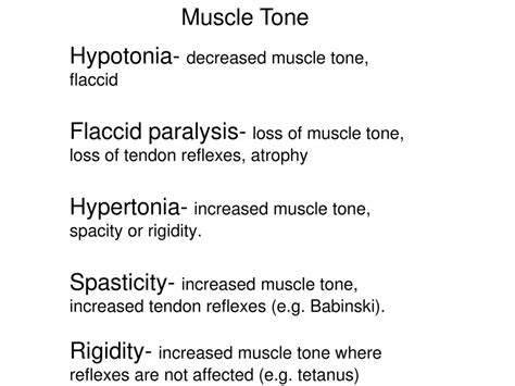 Muscular Tissue I Reading Chapter Ppt Download