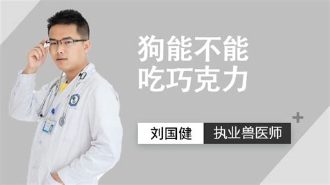 为什么狗不能吃巧克力 蘑菇宠医