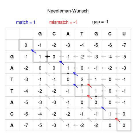 Plot The Score Matrix From A Needleman Wunsch Pairwise Sequence