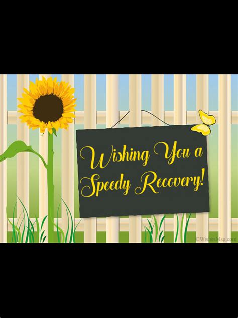Speedy Recovery Wishes Messages And Quotes