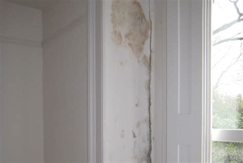 How To Treat Condensation And Other Damp Problems Build It
