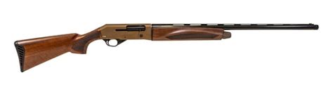 Pointer Phenoma For Sale New