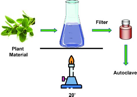Steps To Obtain Decoctions The Plant Material Is Kept At Boiling