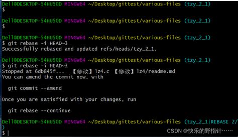 Git 修改远端 Commit 信息git 修改远程的commit Csdn博客