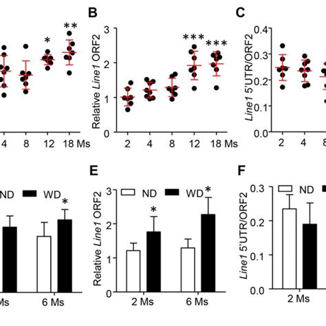 Release And Cleavage Of Cfdna Were Increased During The Development Of