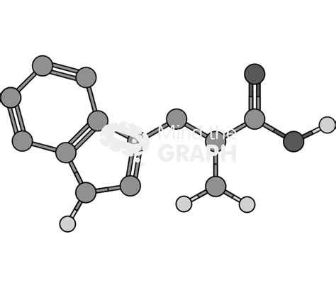 Tryptophane Molecule