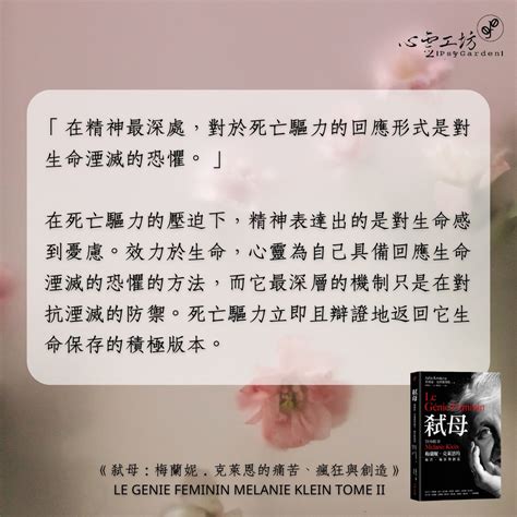 心靈工坊文化 弒母 梅蘭妮克萊恩的痛苦瘋狂與創造 死亡驅力