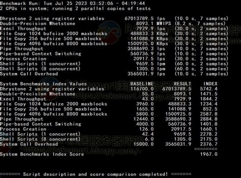 德国云服务器怎么样？德国云服务器延迟多少？ Raksmart美国服务器评测