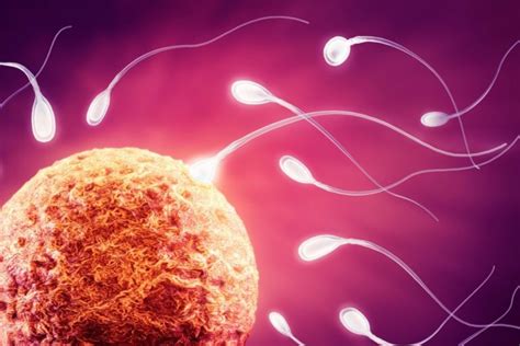 10 Surprising Health Benefits Of Semen The Frisky