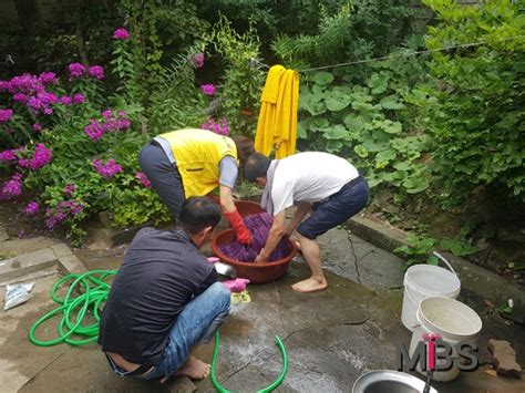 천안시 부성2동 주민자치위원회 사랑의 봉사활동 추진 뉴스밴드 가치를 만드는 뉴스