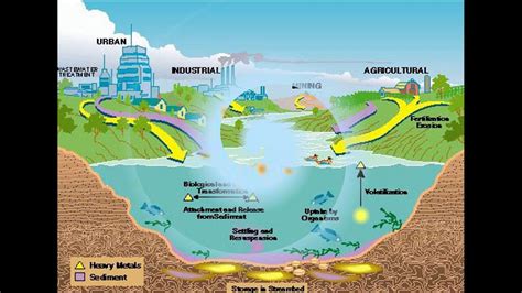 Water Pollution Wrytin