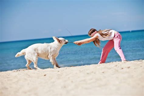 Chica Joven Con Su Perro Por La Playa Foto De Archivo Imagen De