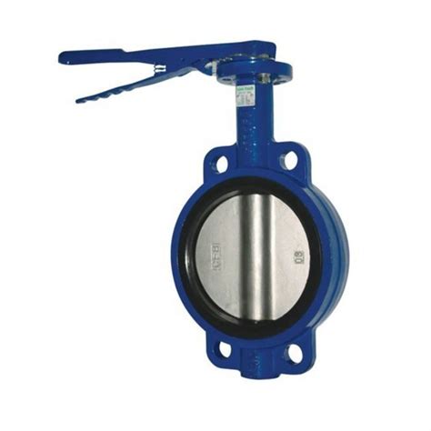 Wafer Butterfly Valve With Worm Gear D71X 10 16 Watersvalve