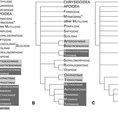 Ac Summary Trees Of Mp Analyses —a Molecular Data —b