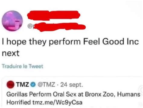 Гориллы исполнят Feel Good Inc Мем Эксперт