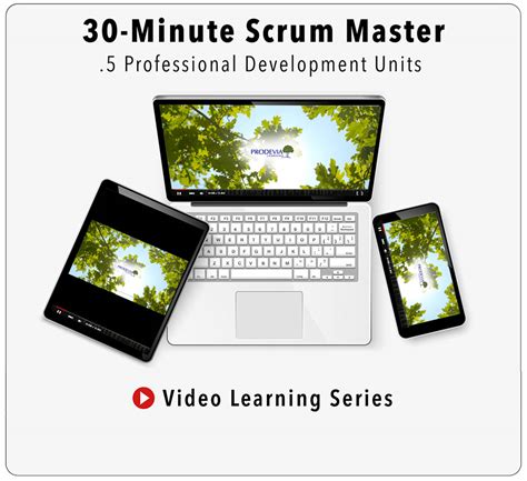 Home PMI Registered PMP PDU Courses Prodevia Learning
