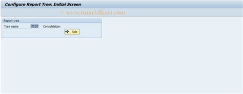 GC SAP Tcode Report Selection