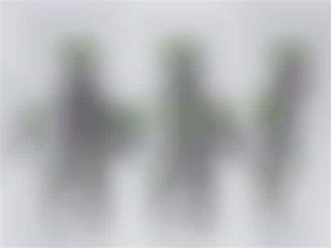 25 Grassroots Marketing Examples