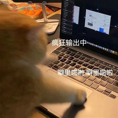 毕业设计目前现状及避坑指南csdn上的毕设定制靠谱吗 Csdn博客