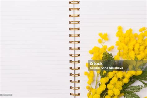 클로즈업 베이지색 테이블에 미모사 꽃과 빈 종이 노트북 평면도 봄 개념입니다 미모사 꽃과 봄 배경 구성입니다 베이지색 배경 봄