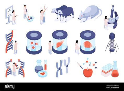 Isometric Genetic Engineering Set With Scientific Lab Tests And Experiment Symbols Isolated