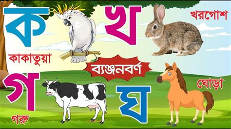 ছোটদের বাংলা ব্যঞ্জনবর্ণ শিক্ষা Bangla Banjonborno বর্ণমালা ক খ গ ঘ