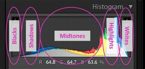 How To Correctly Use The Lightroom Histogram