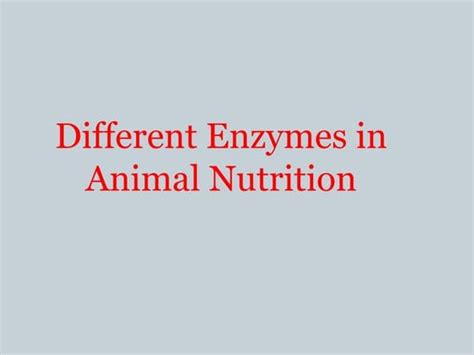 Enzymes In Meat Industry Pptx