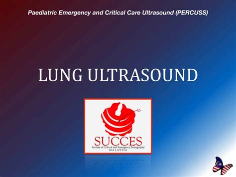 Paediatric Emergency And Critical Care Ultrasound Lung Ultrasound Pdf