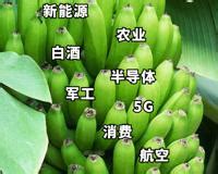 韭菜理财股票基金搞笑沙雕表情包图片 来配图