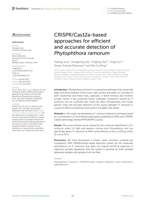 Pdf Crisprcas12a Based Approaches For Efficient And Accurate