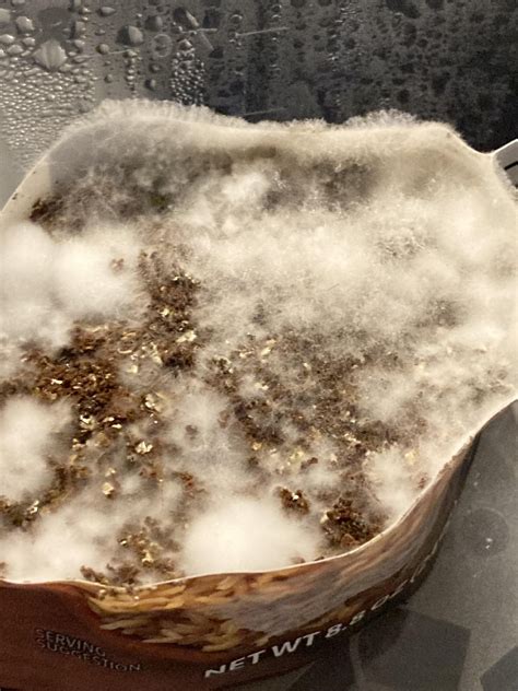 Contaminated R Shrooms