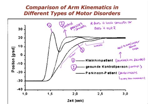 Lecture 4 Movement Characteristics And Muscle Activation Patterns