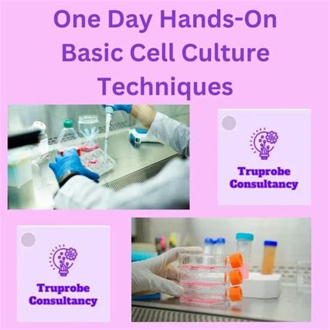 Fully Automated Clia Analyzer 10 Samples Flow Through Analyzers At