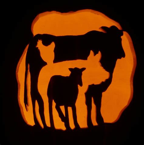 Cow Pumpkin Carvings Artofit