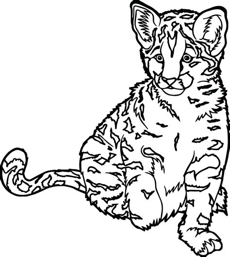 Big Cat Coloring Pages At Free Printable Colorings