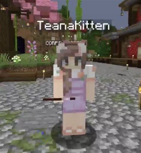 Pin By Pinner On Dsmp Tinakitten Minecraft Skin Minecraft Clothing