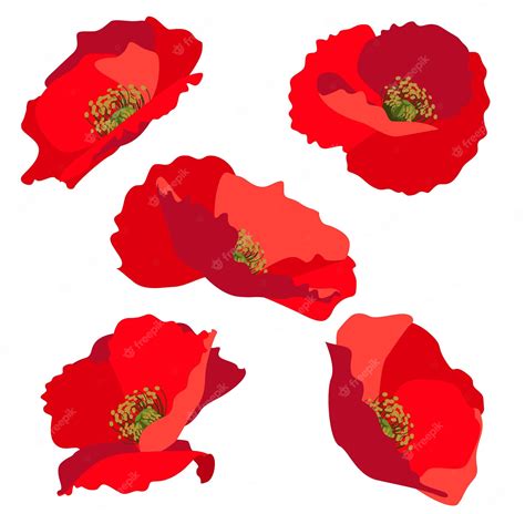 Conjunto De Cabezas De Flores De Amapola Roja De Estilo Plano Para