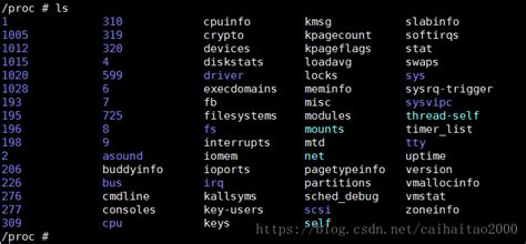 Linux Proc文件系统介绍 Csdn博客
