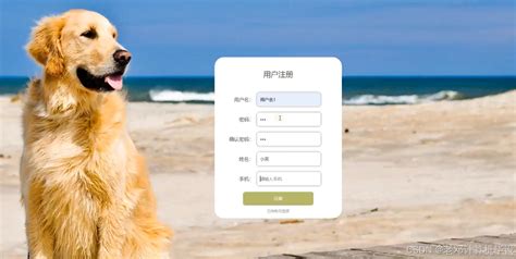 Springboot宠物信息管理系统8nh44（程序源码数据库调试部署开发环境）系统界面在最后面。 Csdn博客