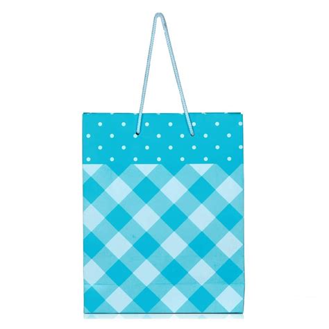 Blue Printed Paper Bag For Shopping Capacity 5kg At Rs 24piece In Agra