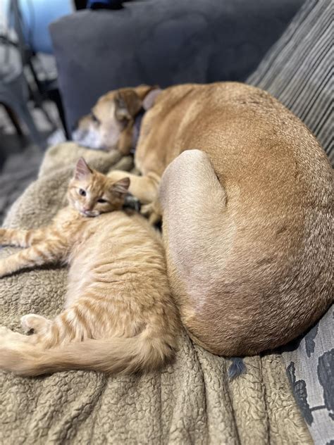 Barry Is The Derpiest Derp Ive Ever Met But Also The Sweetest Ive