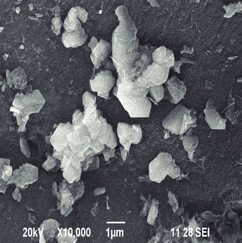 Sem Of Wsd Dust Particles Download Scientific Diagram