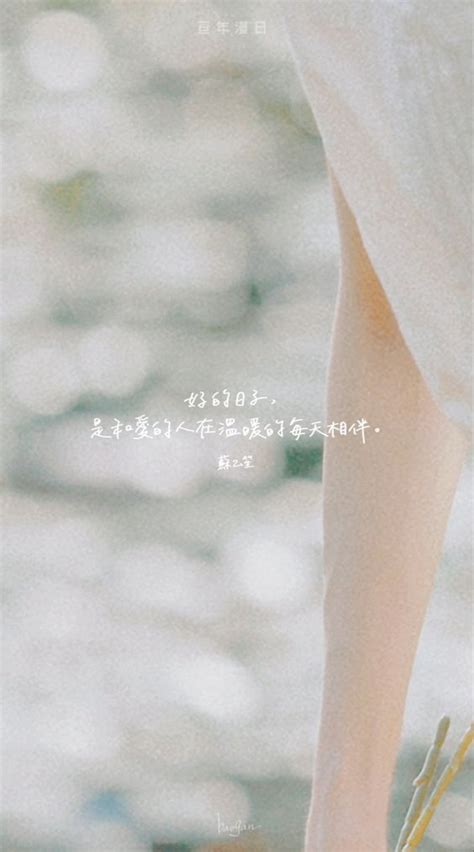 有你陪伴的日子就是最美好 Tipografía