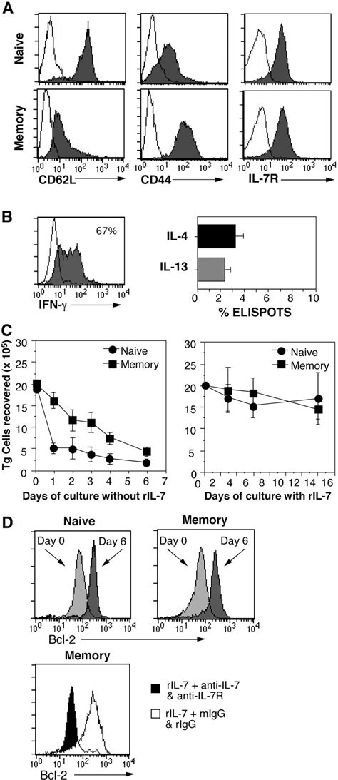 In Vivoprimed Tcr Transgenic Memory Cd4 Cells Survive In Response To