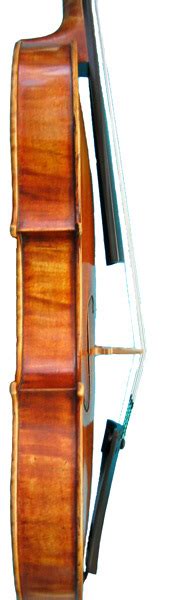 Official Website Of Cyrus Forough Biography