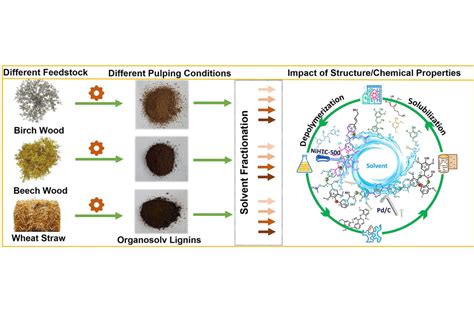 Publication Elucidating The Effect Of The Physicochemical Properties