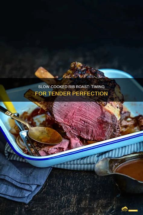 Slow-Cooked Rib Roast: Timing For Tender Perfection | ShunGrill